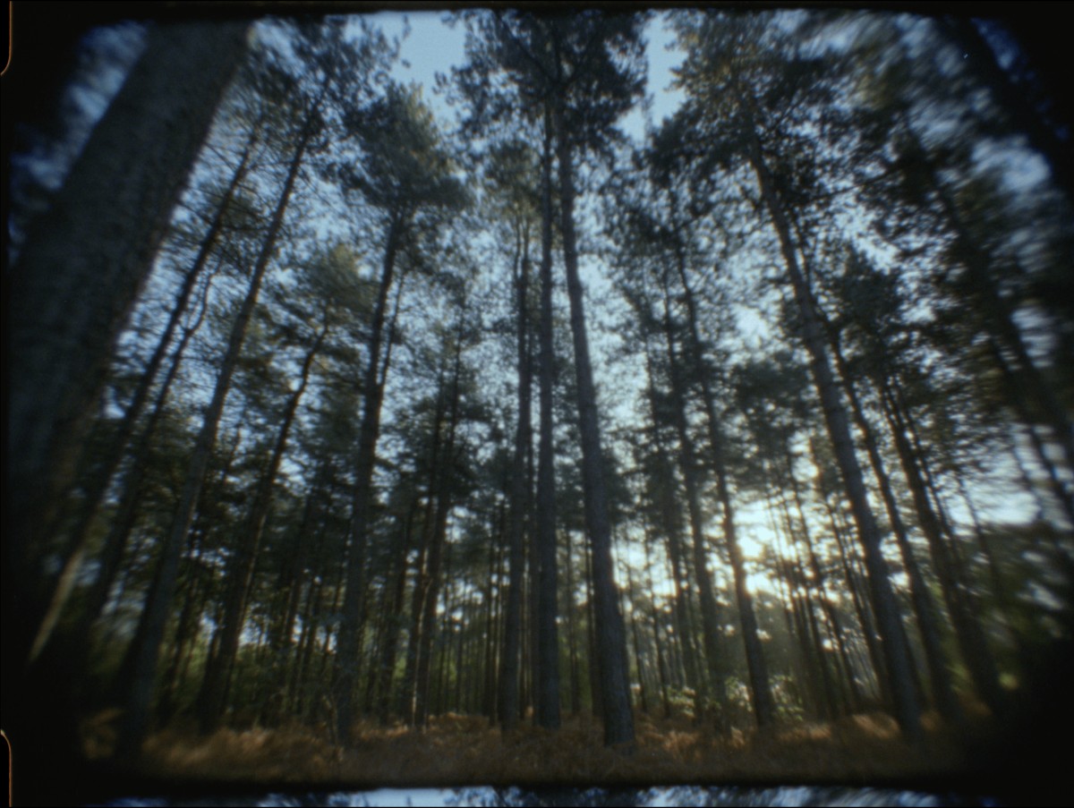 Jeffrey Roekens | Rider Portrait — Anthony Aelbrecht